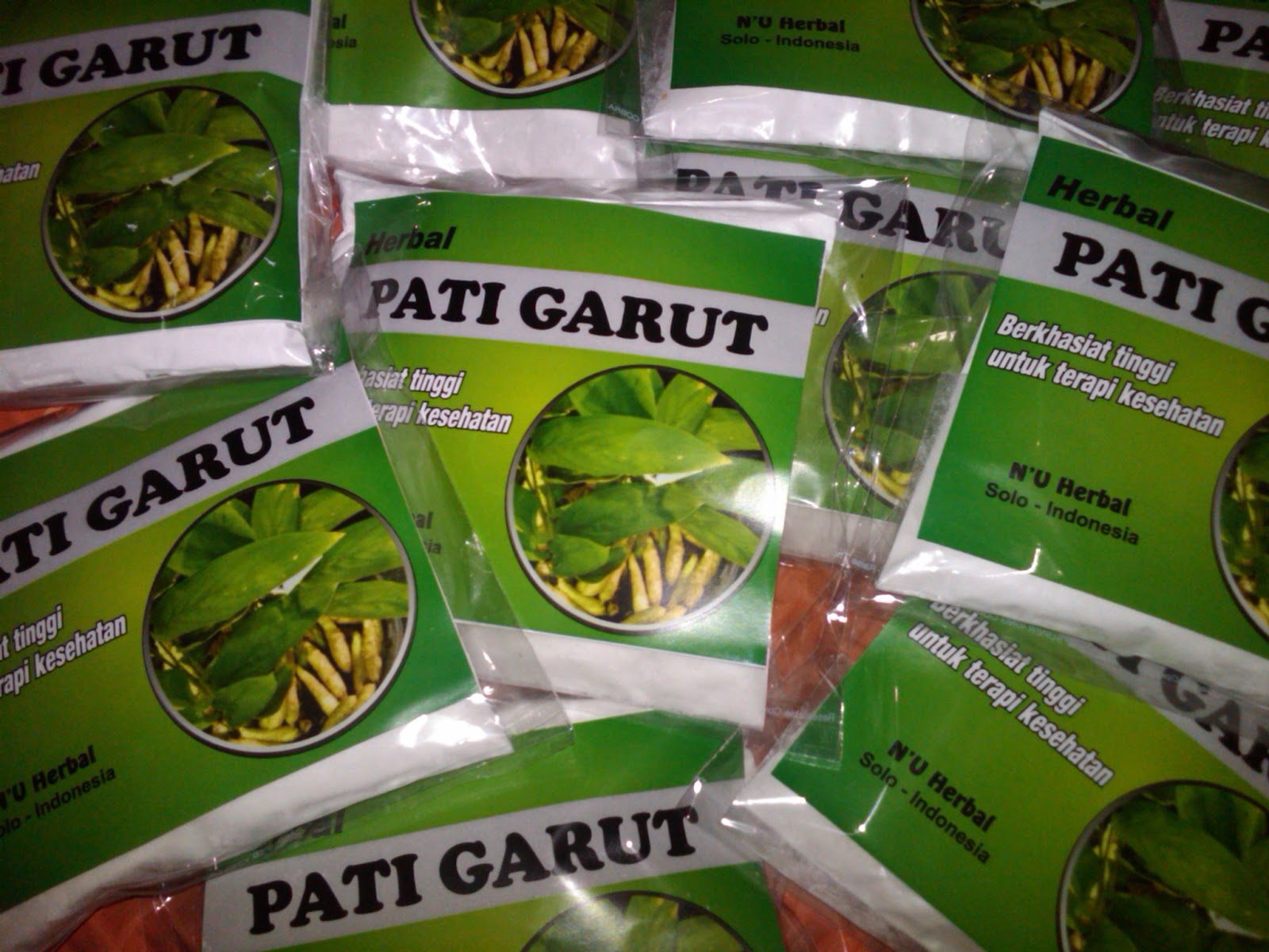 HERBAL ALAMI: PATI GARUT